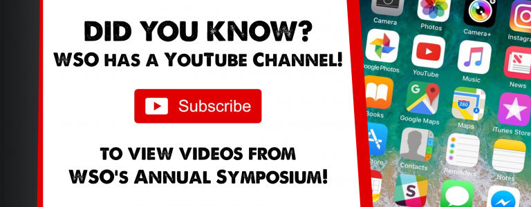 World Safety Organization